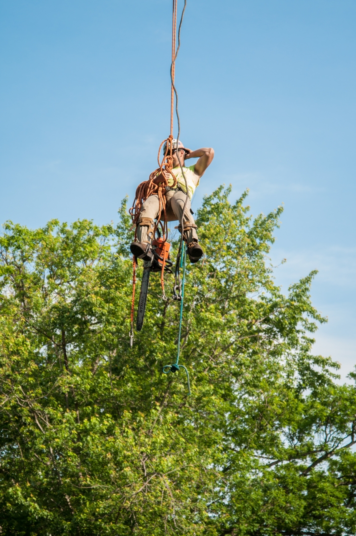 Gallery – Dubois Tree Service