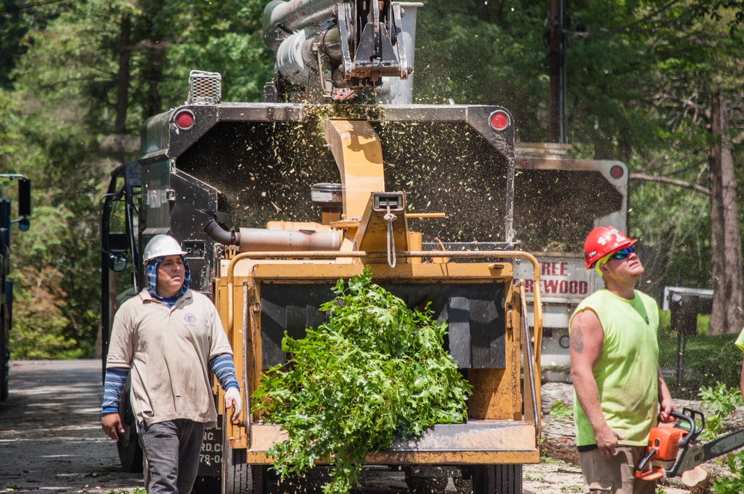 Gallery – Dubois Tree Service