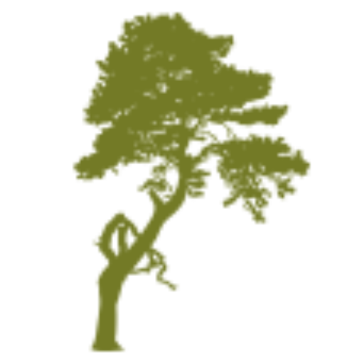 Dubois Tree Service – Tree Removal, Tree Pruning, Stump Grinding, Brush ...